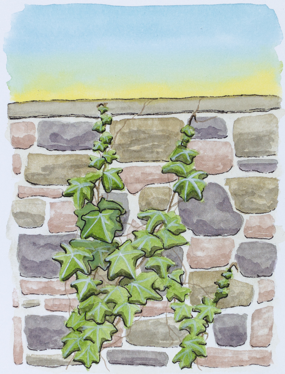 First Footsteps (2023) – Nell Shaw Cohen